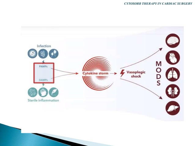 cytosorb therapy | PPTX | Heart and Cardiovascular Diseases | Diseases ...