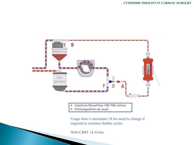 cytosorb therapy | PPTX | Heart and Cardiovascular Diseases | Diseases ...