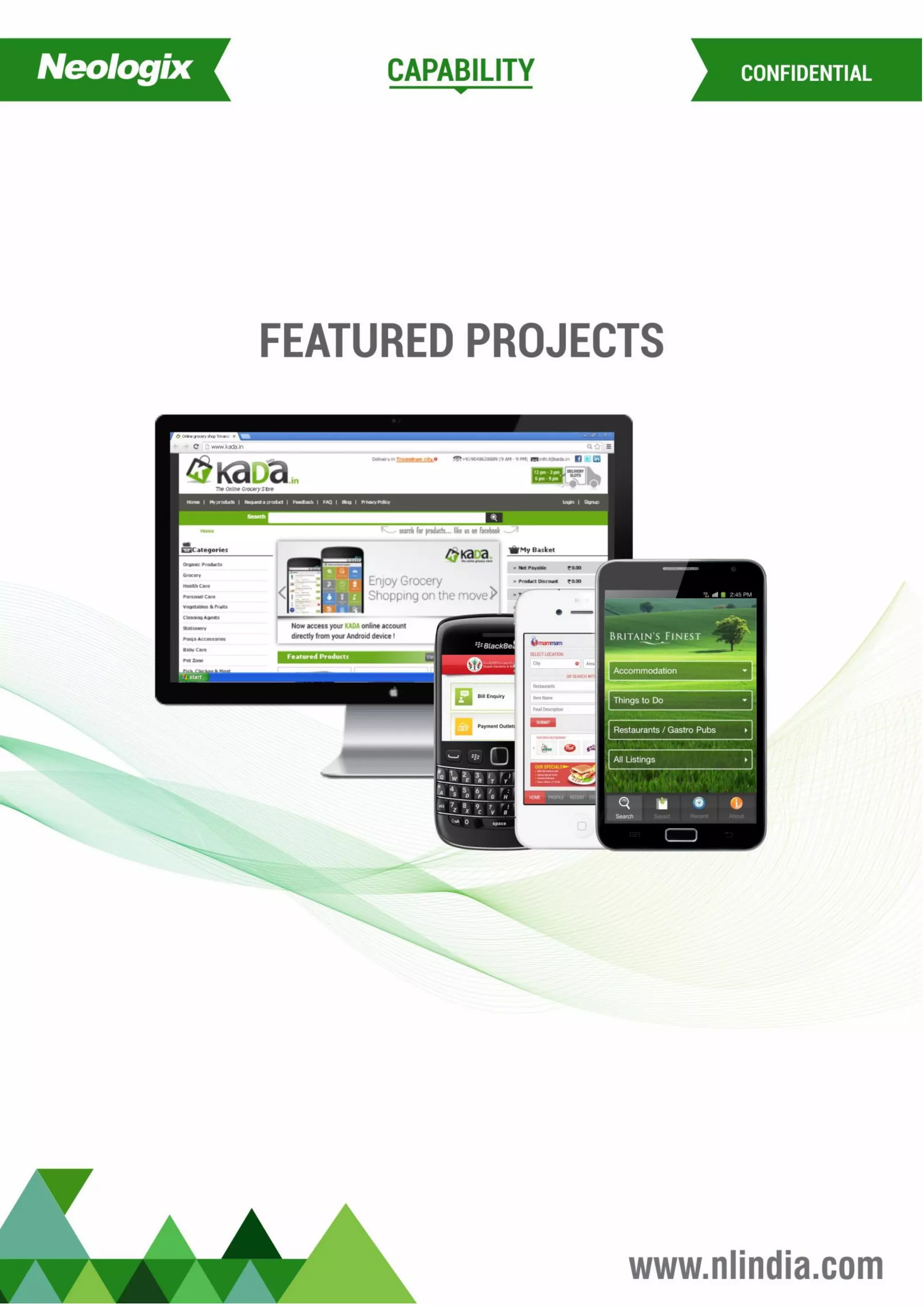 Neologix Capability Document | PDF