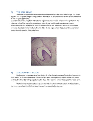 OROFACIAL GROWTH AND DEVELOPMENT ORTHODONTICS | DOCX | Infertility ...