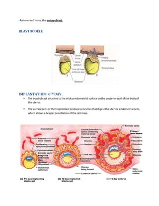 OROFACIAL GROWTH AND DEVELOPMENT ORTHODONTICS | DOCX | Infertility ...