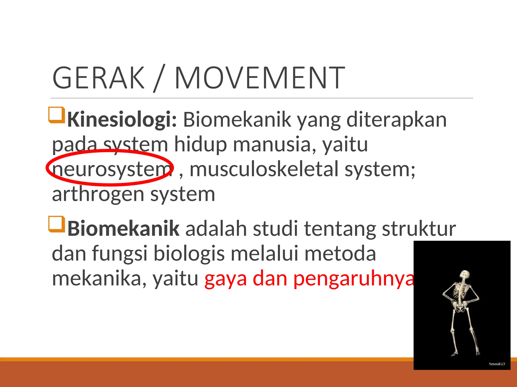 anatomi new Muskuloskeletal 22 part 1.ppt