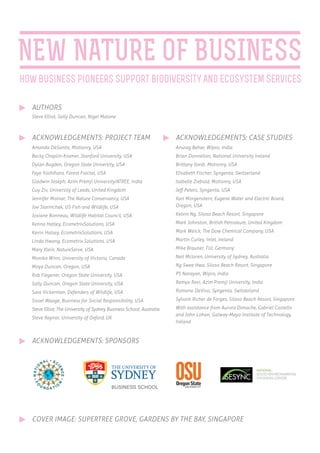 The New Nature of Business | PDF