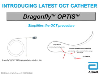 New OCT Slides for revascularisation and decision making | PPTX