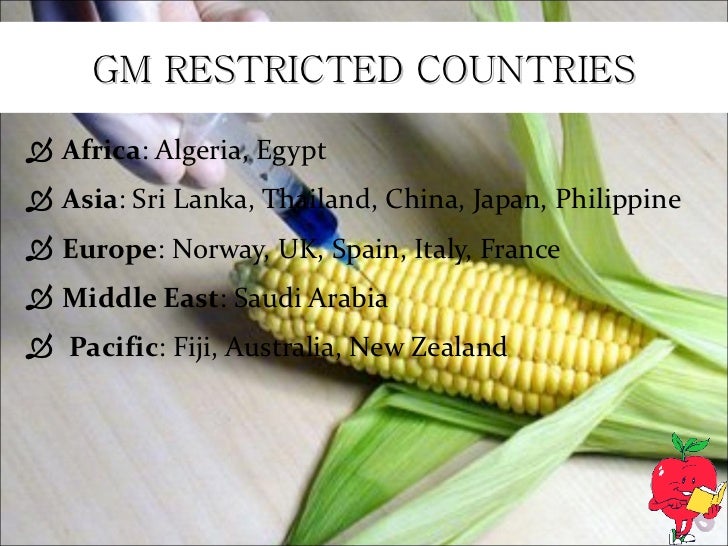 GM foods