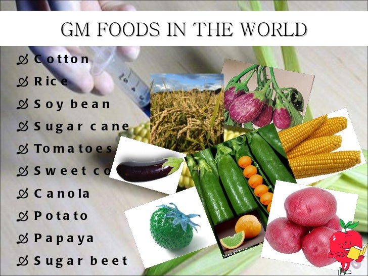 GM foods