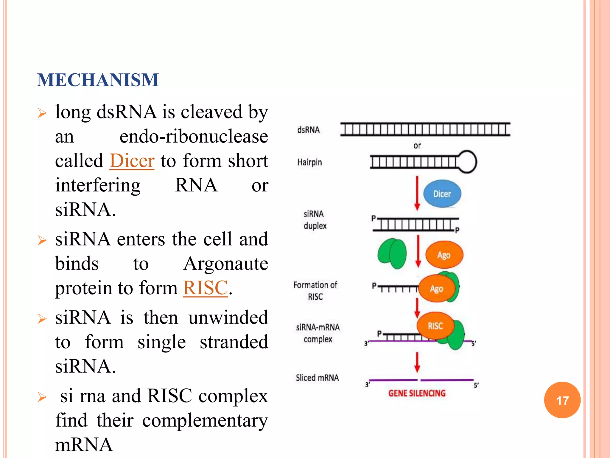 Role of Target Identification and Target Validation in Drug Discovery ...