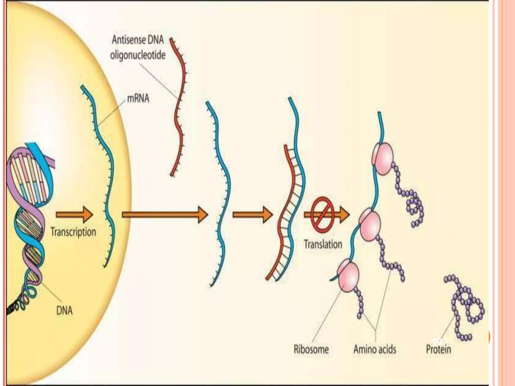 Role of Target Identification and Target Validation in Drug Discovery ...