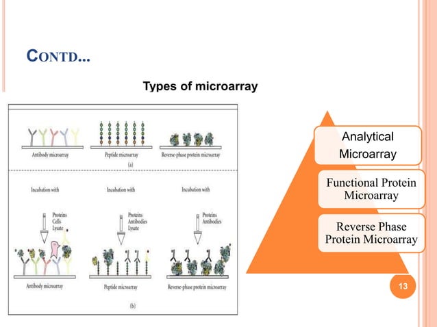 Role of Target Identification and Target Validation in Drug Discovery ...