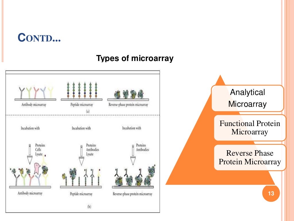 Role Of Target Identification And Target Validation In Drug Discovery…