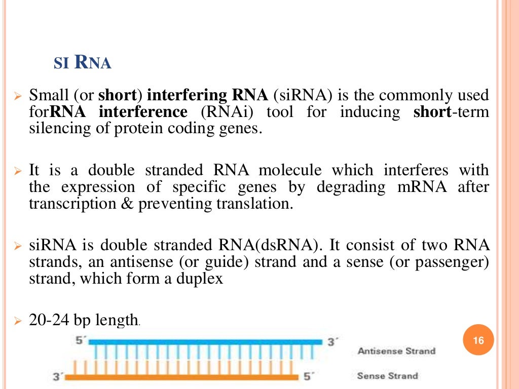 Role Of Target Identification And Target Validation In Drug Discovery…
