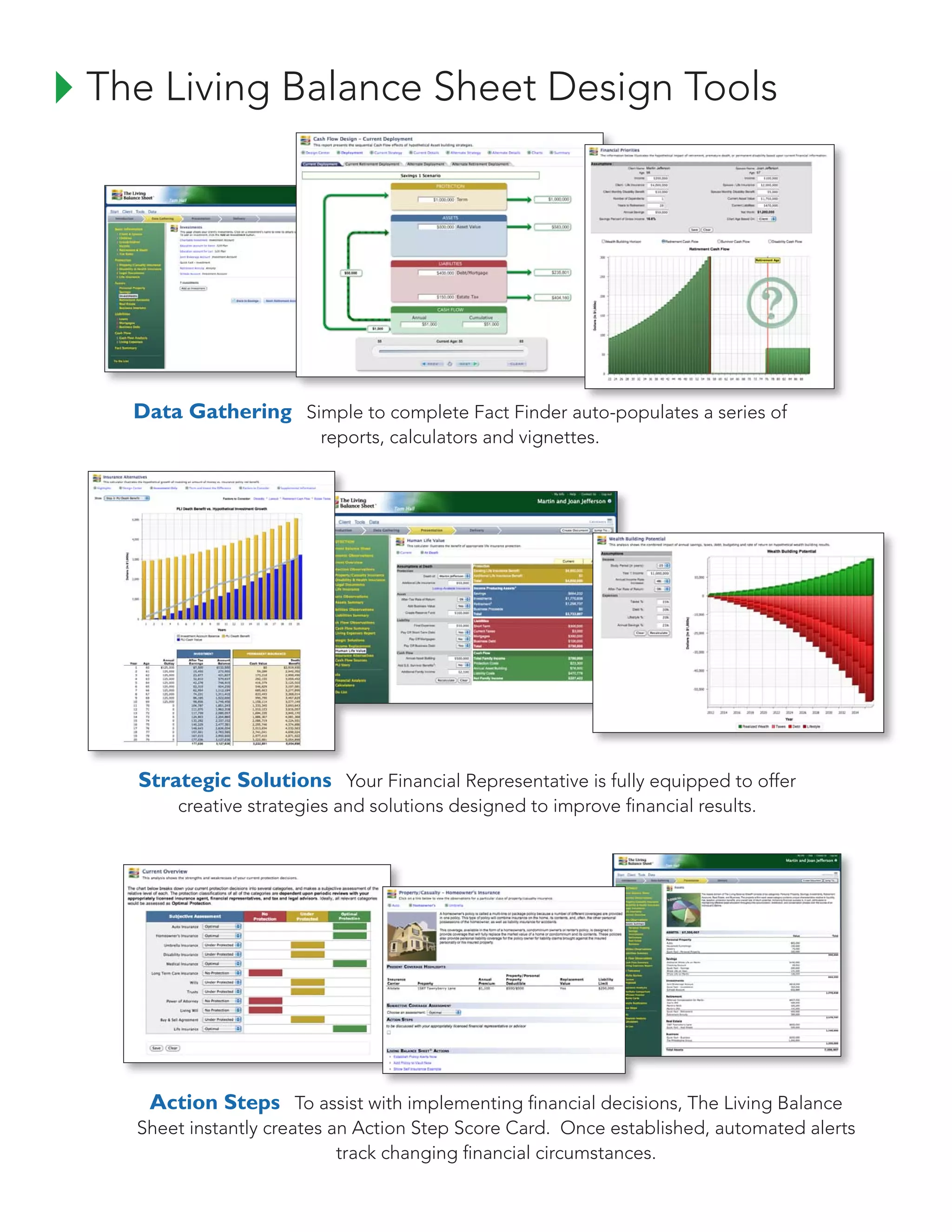 The Living Balance Sheet | PDF