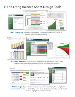 The Living Balance Sheet | PDF