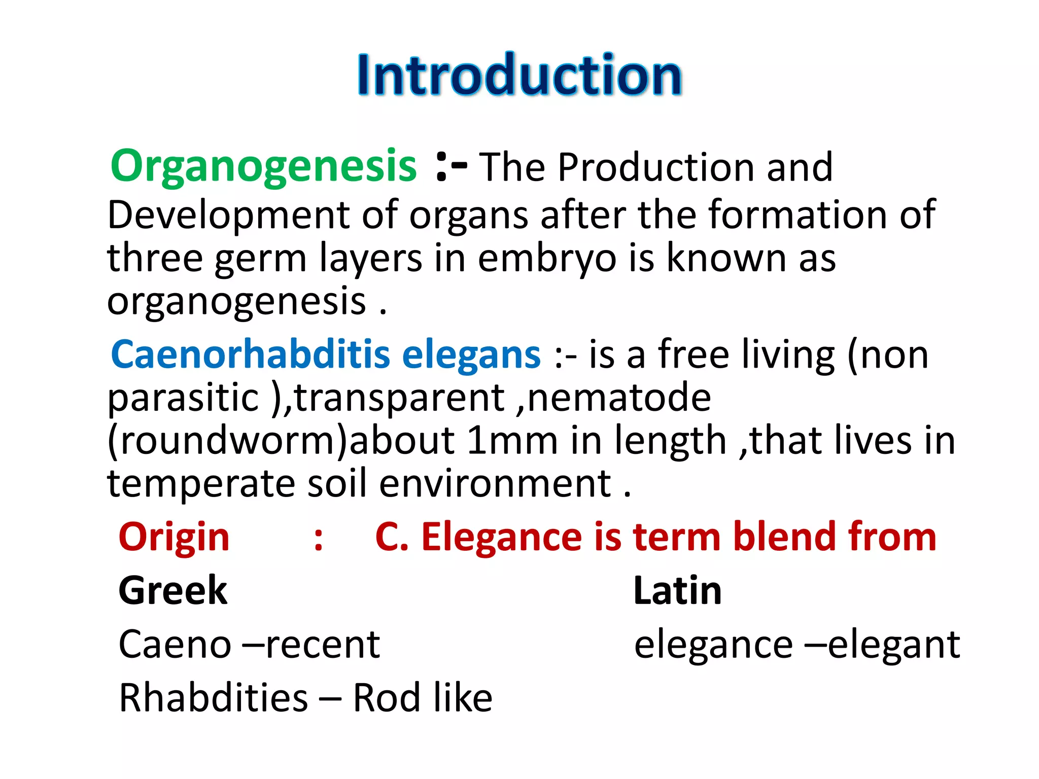 organogenesis ,vulva formation in Caenorhabditis elegans | PPTX