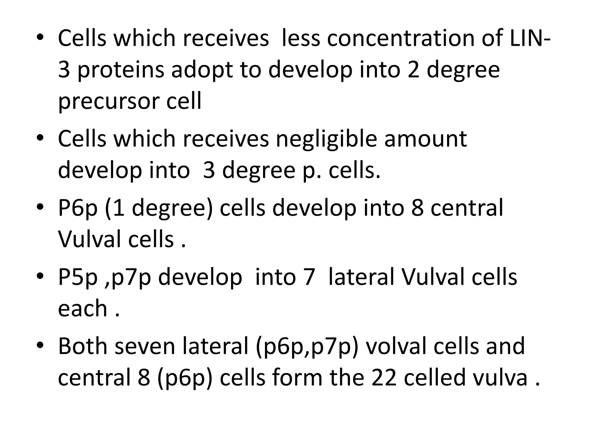 organogenesis ,vulva formation in Caenorhabditis elegans | PPTX