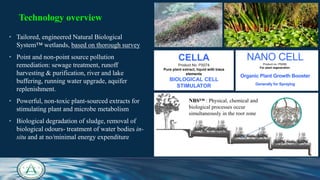 AYALA Natural Biological Systems Overview | PDF