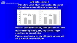 New pasture condition scoring tool | PPTX