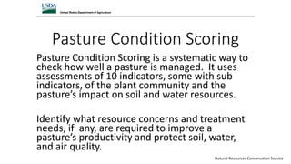 New pasture condition scoring tool | PPTX