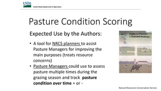 New pasture condition scoring tool | PPT