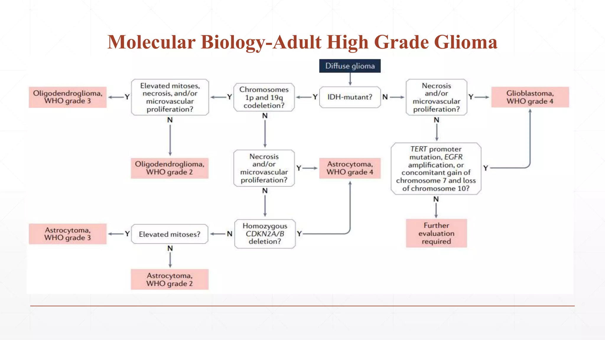 high grade glioma | PPTX