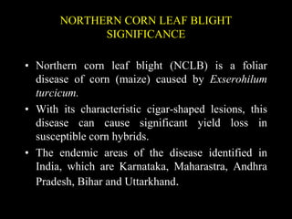 NORTHERN AND SOUTHERN CORN LEAF BLIGHT | PPTX