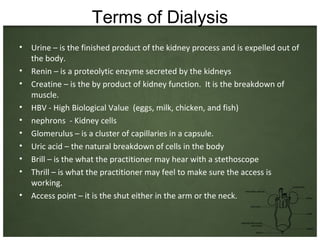 New patient dialysis program | PPT