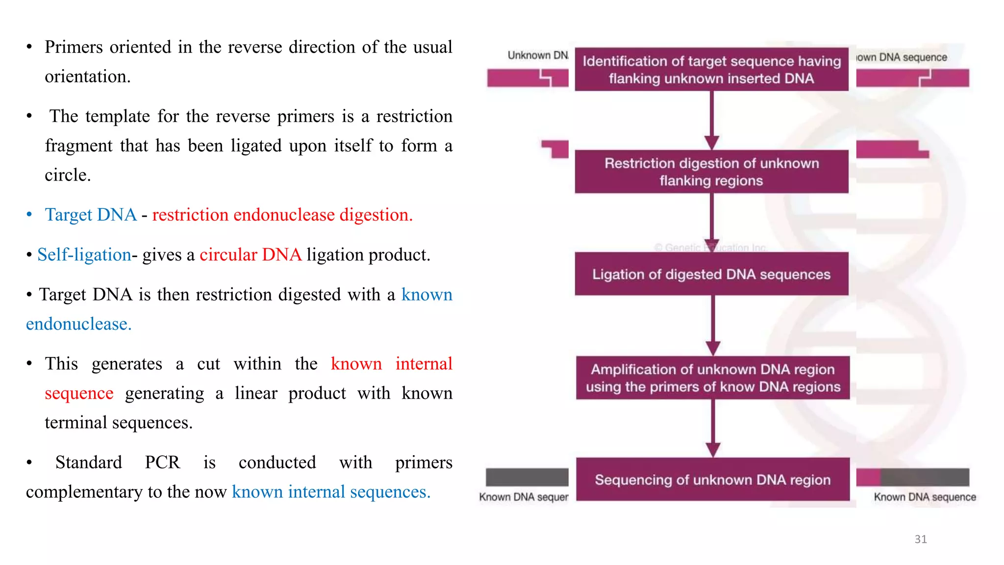 PCR AND ITS VARIANTS | PPTX