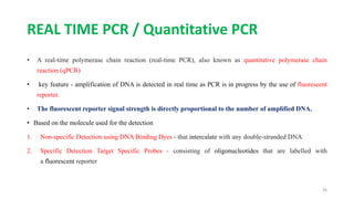 PCR AND ITS VARIANTS | PPTX