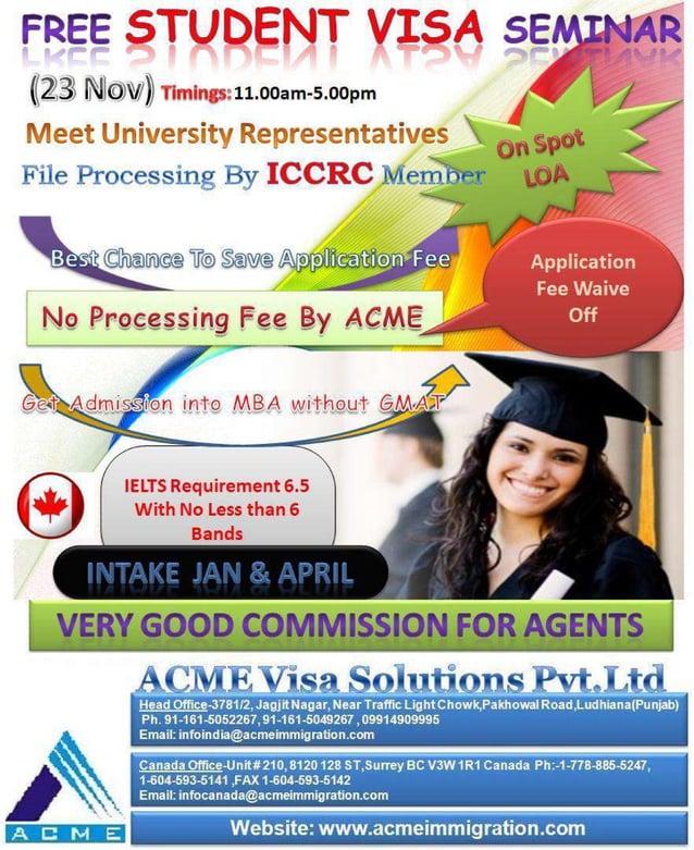 ACME Visa Solutions | PDF