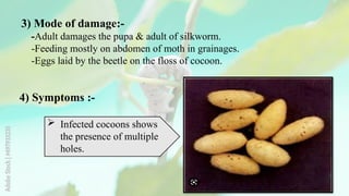 Pest of sericulture ( insect - Uzi fly, Pathogen- Virus , Bacteria ...