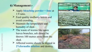 Pest of sericulture ( insect - Uzi fly, Pathogen- Virus , Bacteria ...