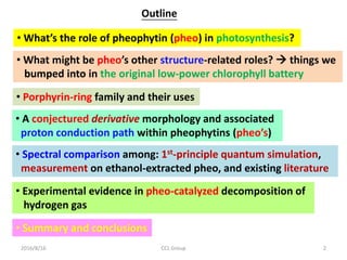 Pheophytin B Structure