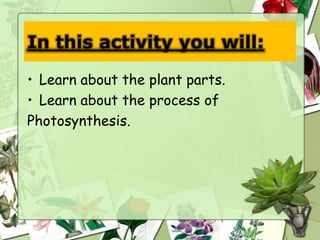 Plant parts and photosynthesis | PPTX