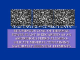 ASH MAINTENANCE | PPT