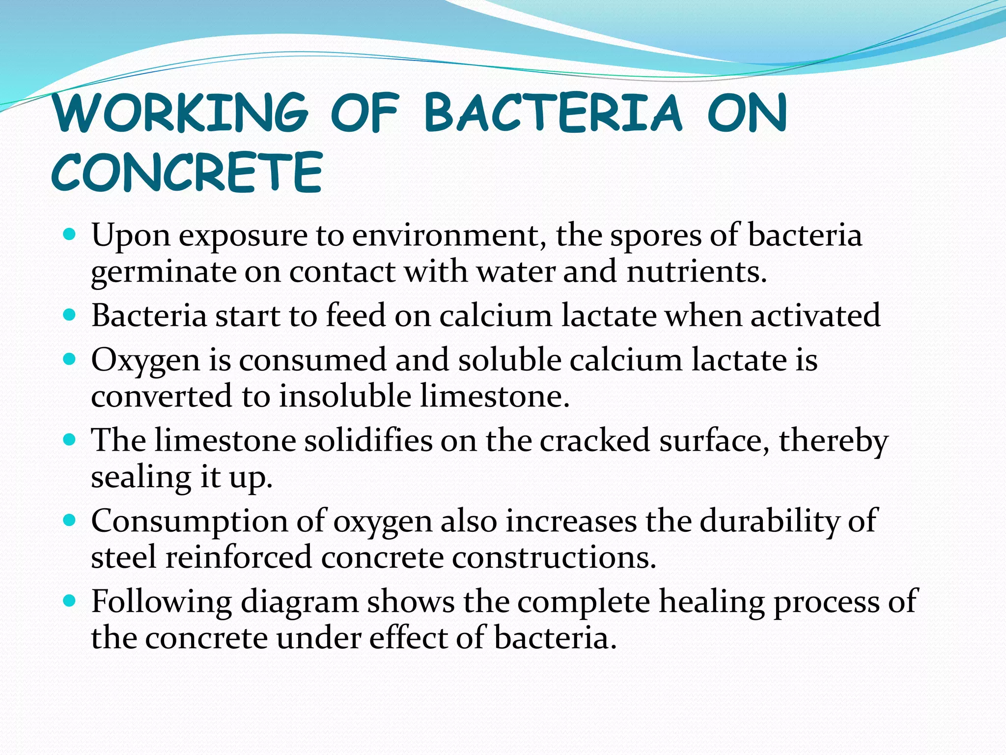 BACTERIAL CONCRETE | PPTX