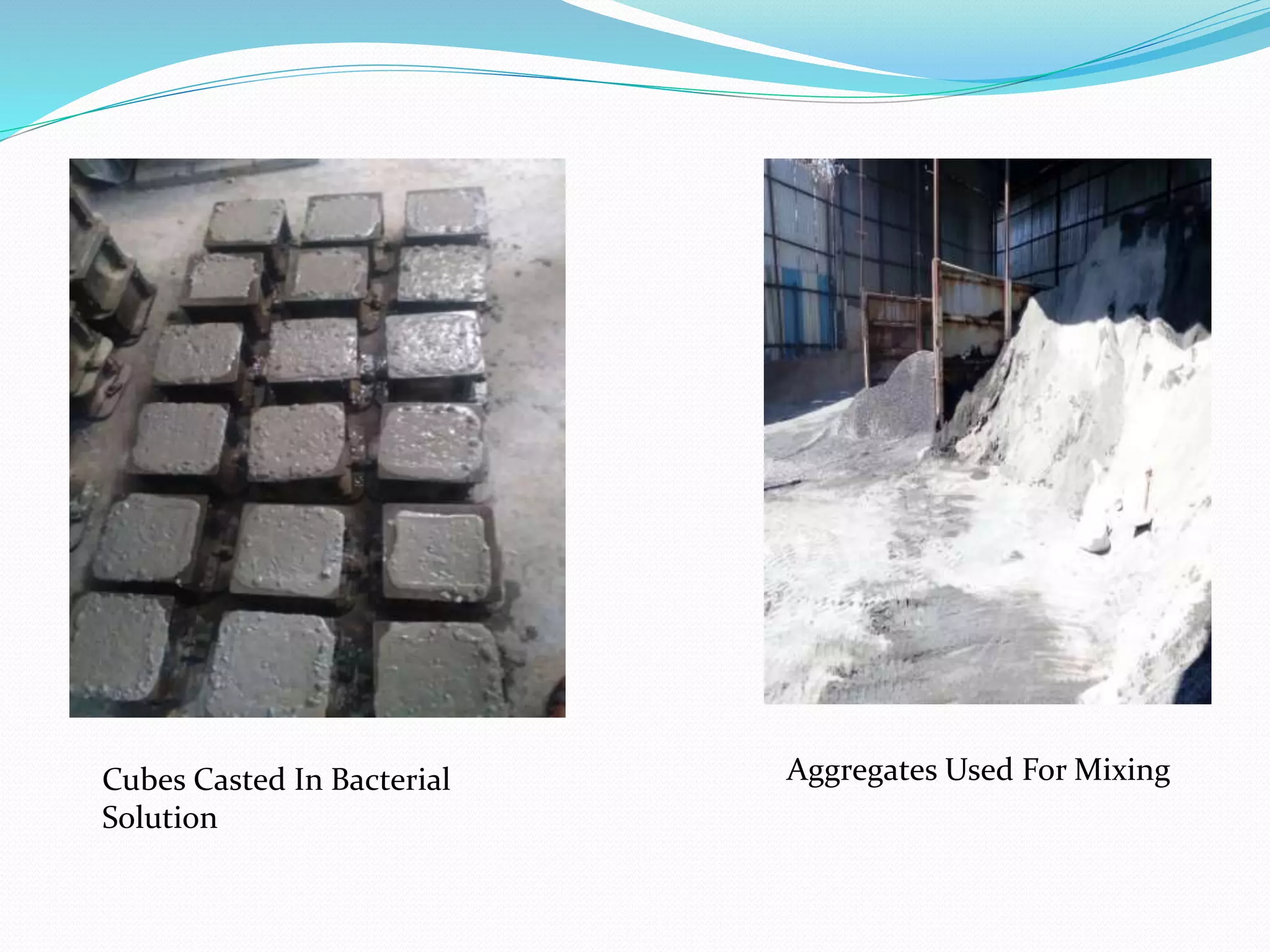 BACTERIAL CONCRETE | PPTX