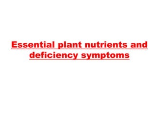 Plant nutrients | PPT