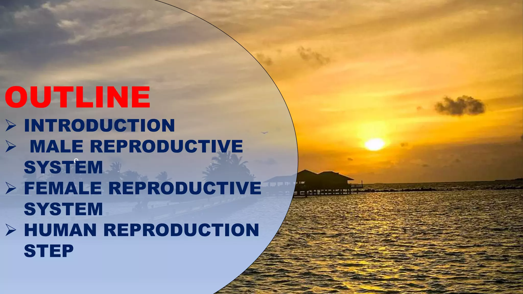 Reproductive system | PPT