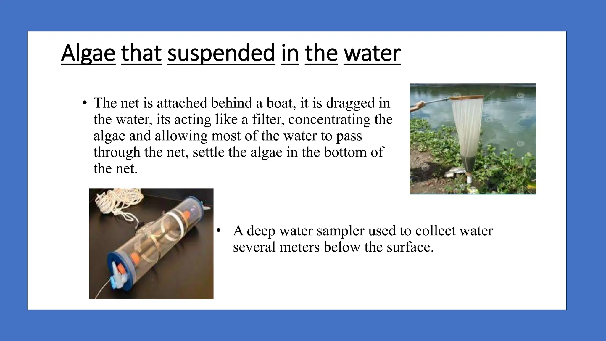 Isolation of algae | PPTX