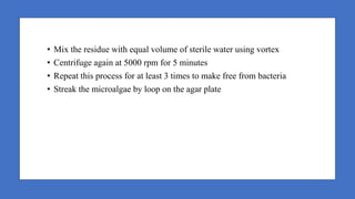 Isolation of algae | PPTX