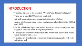 Isolation of algae | PPTX