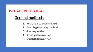 Isolation of algae | PPTX