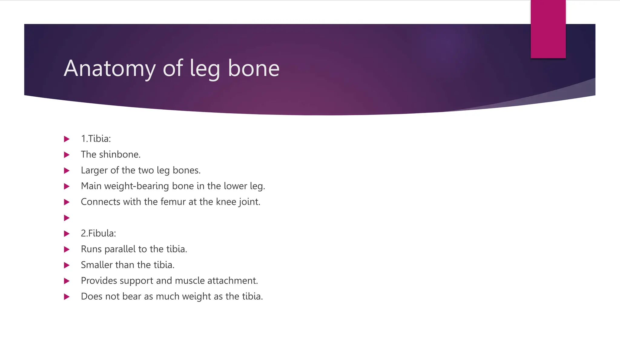 Leg bone PPT.pptx