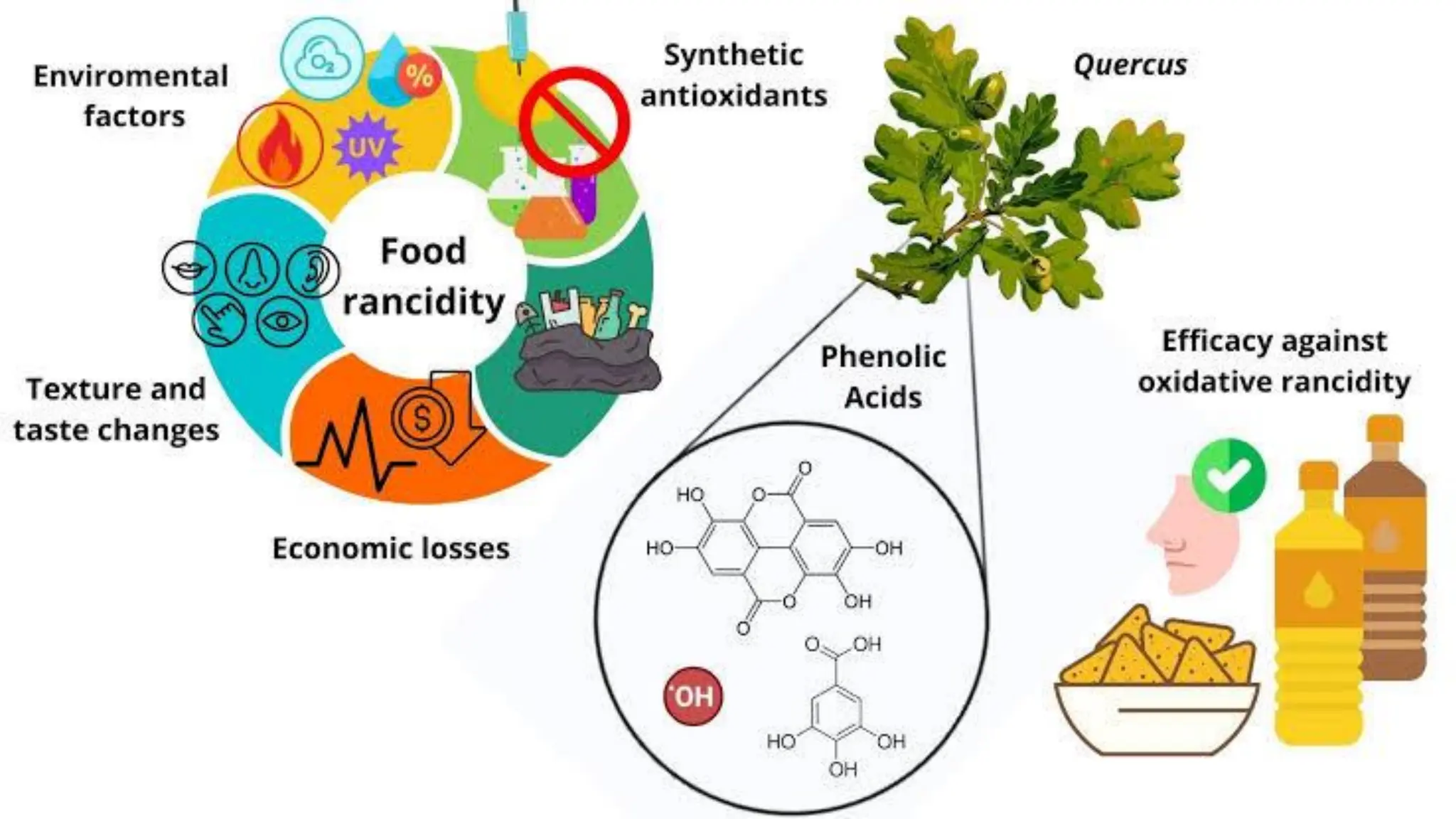 Food Microbiology, Food Additives, preservation, food contamination ...