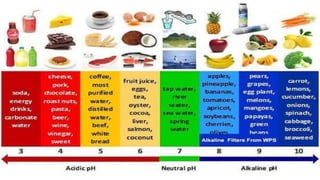 Food Microbiology, Food Additives, preservation, food contamination ...