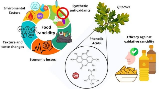 Food Microbiology, Food Additives, preservation, food contamination ...
