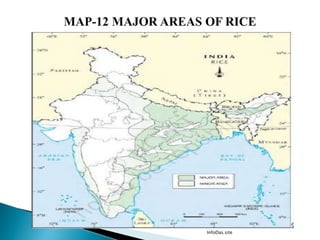 NEW PPT CLASS-10 MAP POINTING CBSE 2024.pptx