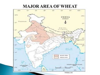 NEW PPT CLASS-10 MAP POINTING CBSE 2024.pptx