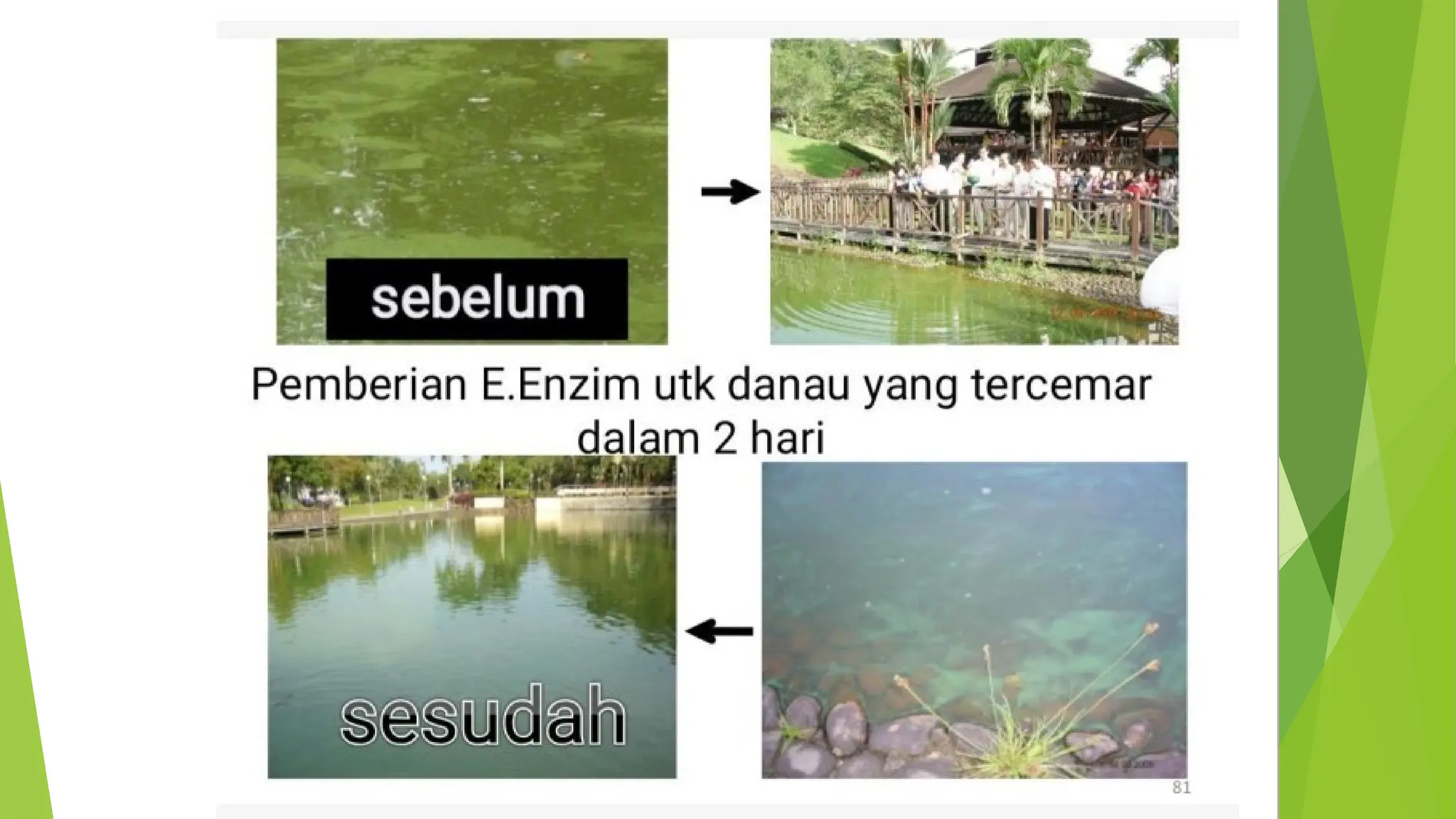 New PPT Eco Enzyme Learning Module Rev 1.3 (2)-1.pptx