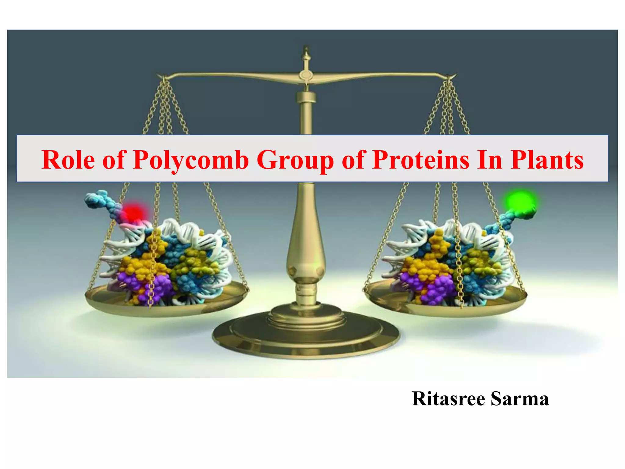 POLYCOMB GROUP OF PROTEINS | PPTX